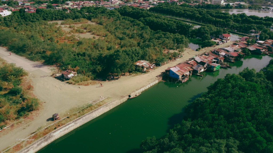 Discover mangrove forest ‘Pugad Baboy’ in your next Kawit visit - The ...