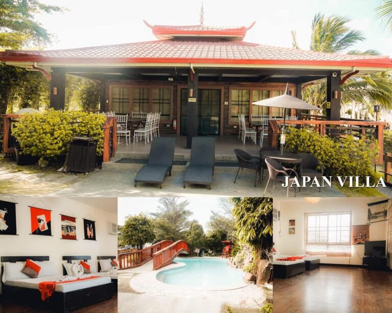 Travel Goals: What is it like to visit Torres Farm at night | The ...