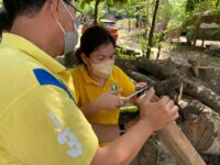 Tour around with this Cultural Symbol of Cavite – Baby Bus - The Cavite ...