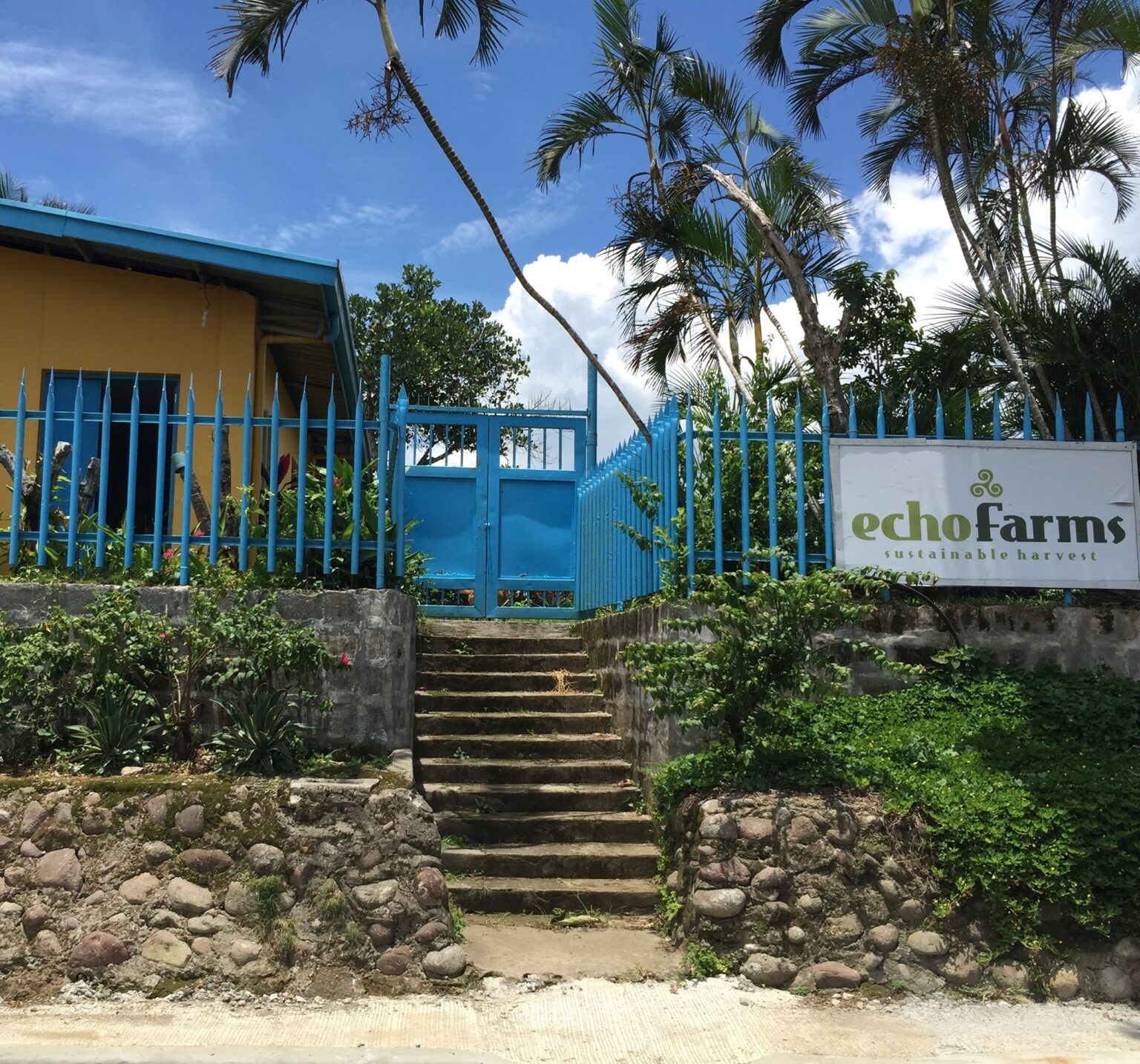 WHERE TO GO: Discover nature retreats in Amadeo, Cavite - The Cavite Rising