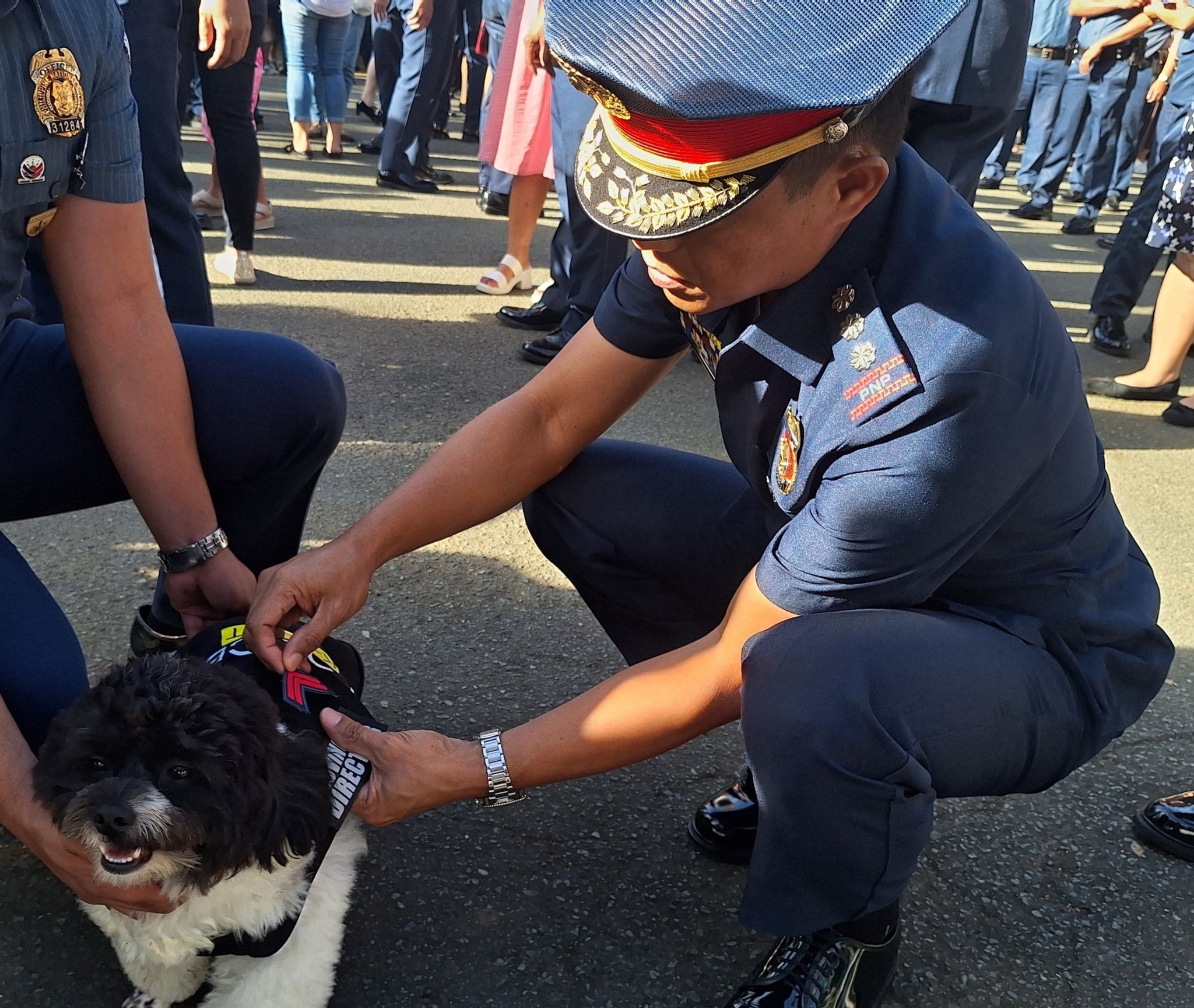 K-9 dog sa Rizal Police promoted bilang Corporal - The Cavite Rising